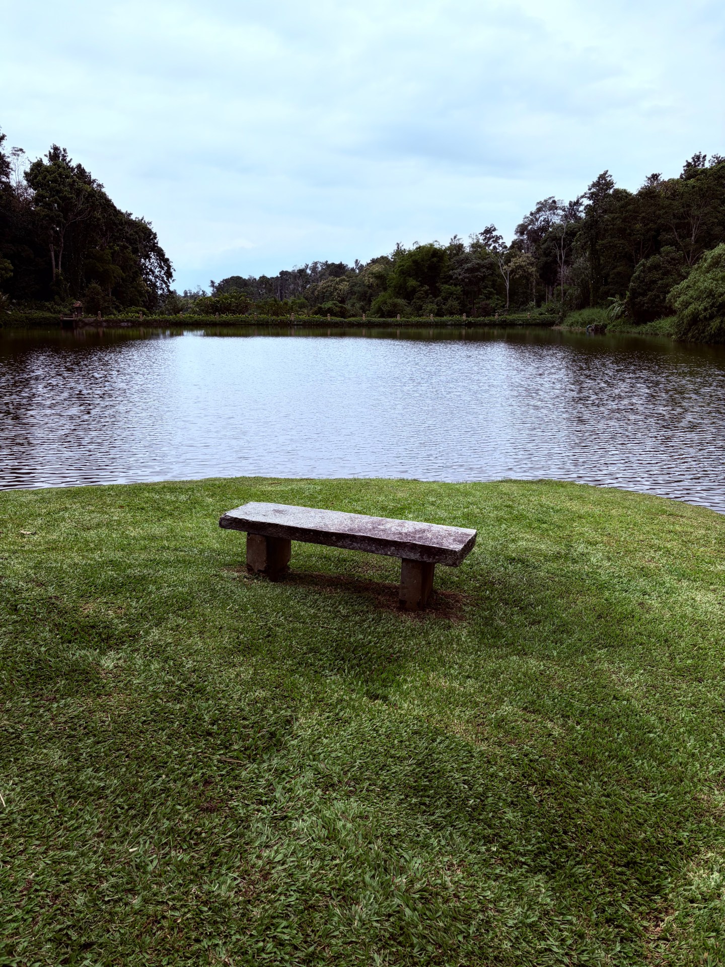 Living Inside a Book : Reading Tolstoy’s War and Peace in Coorg. – The ...